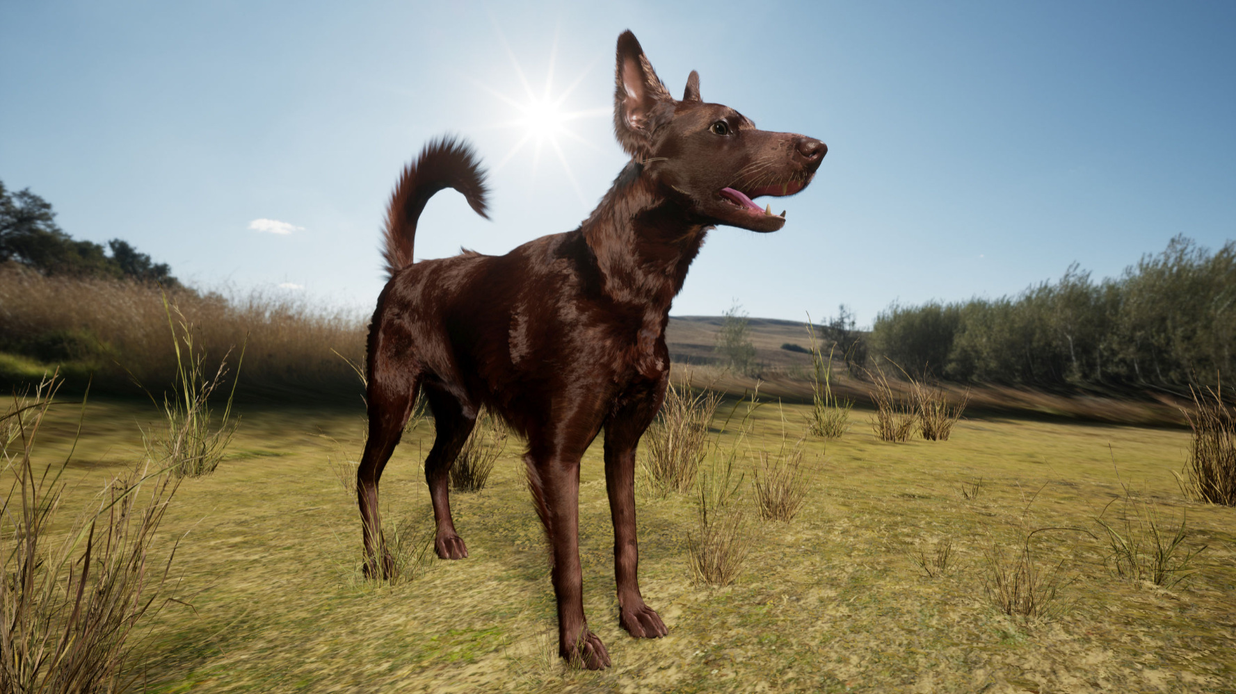 Projects - Staffordshire University GradEx